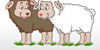 Help Kids Protecting Our Animals | SPCA Kids Education